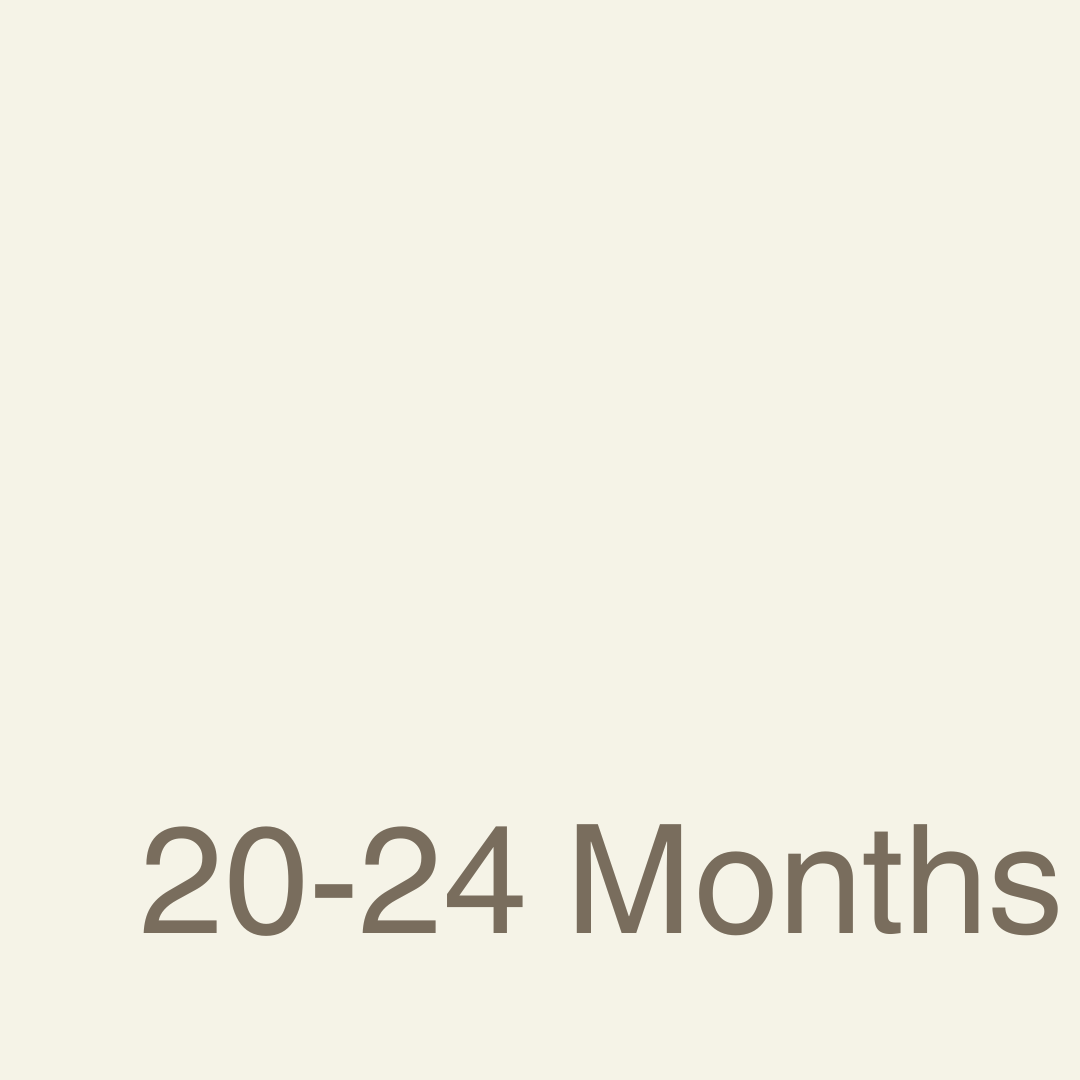 20-24 months – Follow the Child